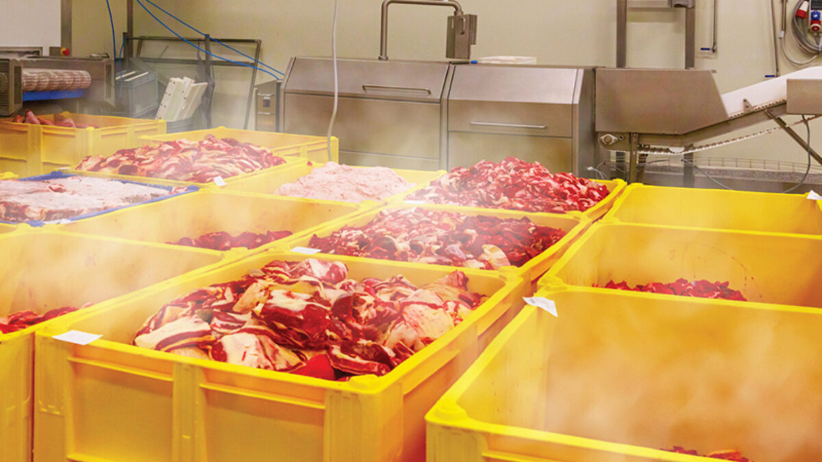 Food Processing - Dry Ice Chilling & Freezing Equipment